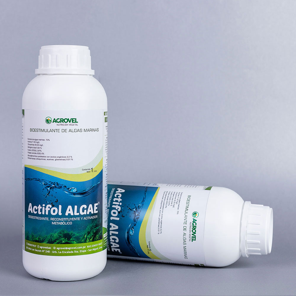 Actifol Algae – Agrovel