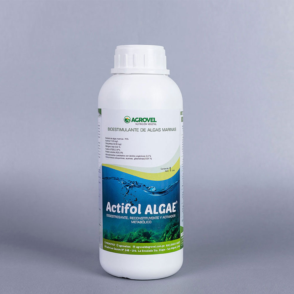Actifol Algae – Agrovel