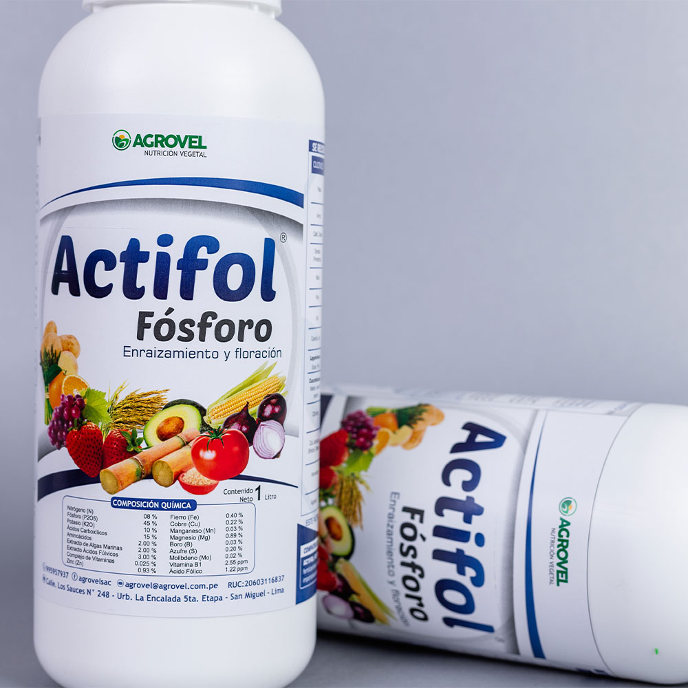 Actifol Fósforo – Agrovel