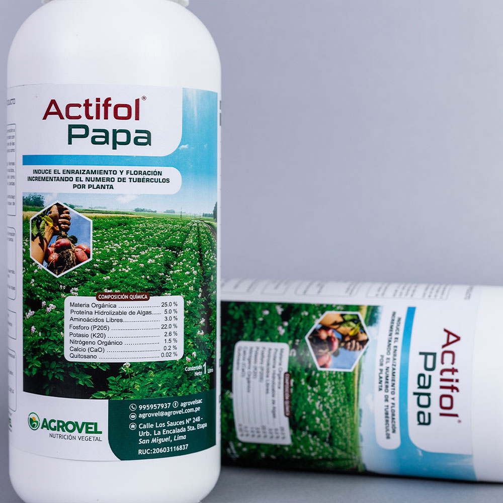 Actifol Papa – Agrovel